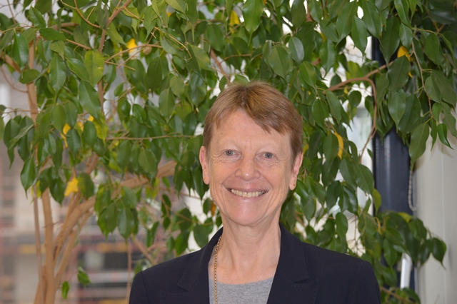 INTERVJU: Fiona Riddoch, izvršna direktorica evropskega združenja COGEN ...